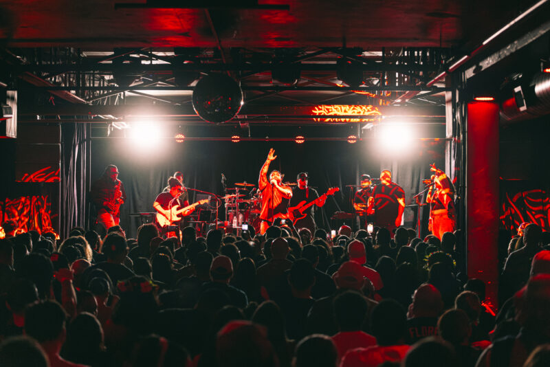 ABOUT | Lowbrow Palace